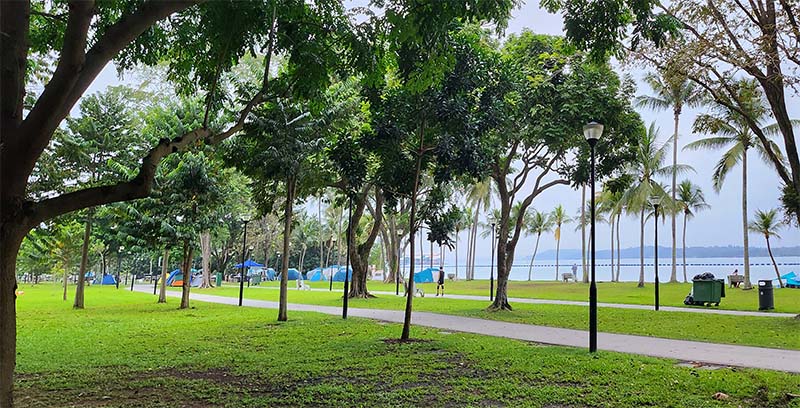 Bridging Past and Present in Pasir Ris